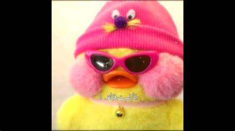 من قاعد يرفع يدههاشيراقاتلشياطيناحبقطوطاتياكسبلورفولوfollowfyp