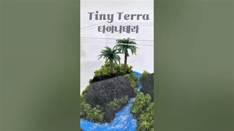 바다 테라리움 쉽게 만드는 법 Youtube