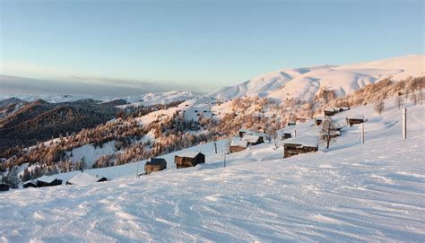 Letter From Goderdzi Georgias Hidden Ski Gem Where Locals Are