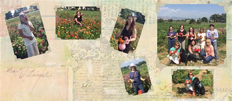 Rolf Institute Of Structural Integration