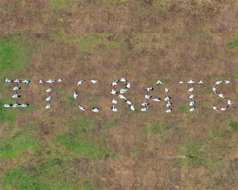 Itcrats On Linkedin Itcrats Hyderabad Winningteam Corporate