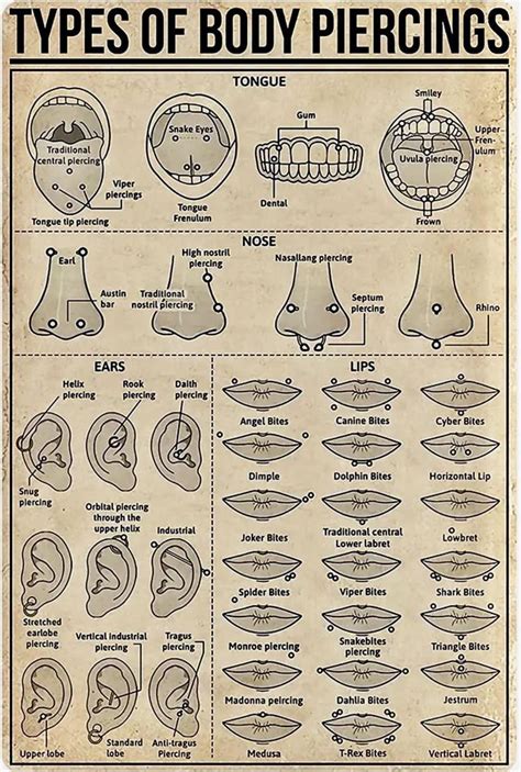 Pin By J4daap On Piercings Piercing Chart Piercings Body Piercings