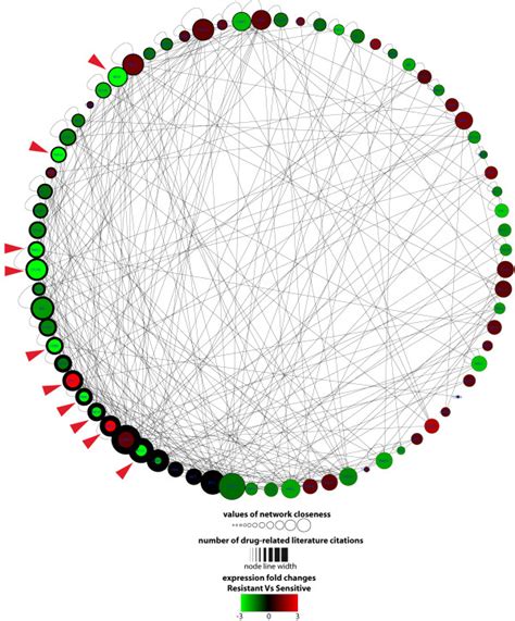 Correlation Among Network Centrality Expression And Involvement In