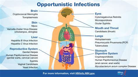 What Is An Opportunistic Infection Nih