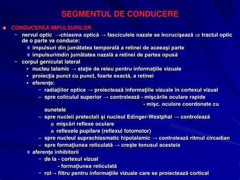 Ppt Sistemul Vi Zual Powerpoint Presentation Free Download Id582236