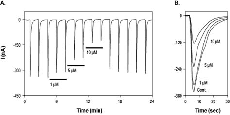 Lobeline Hydrochloride L 120 Alomone Labs