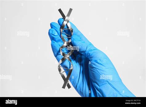 Scientist With Dna Molecular Chain Model Made Of Metal On White