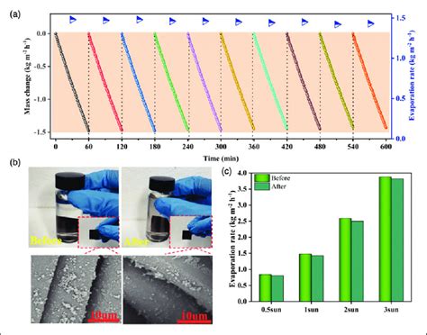 A Long Term Tests Of 10 H Water Evaporation Of The Polydopamine Download Scientific Diagram