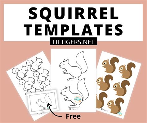 Free Printable Squirrel Templates Lil Tigers