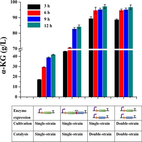 Comparison Of The Single Strain And Double Strain System For The