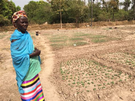 Livelihood Restoration Plan