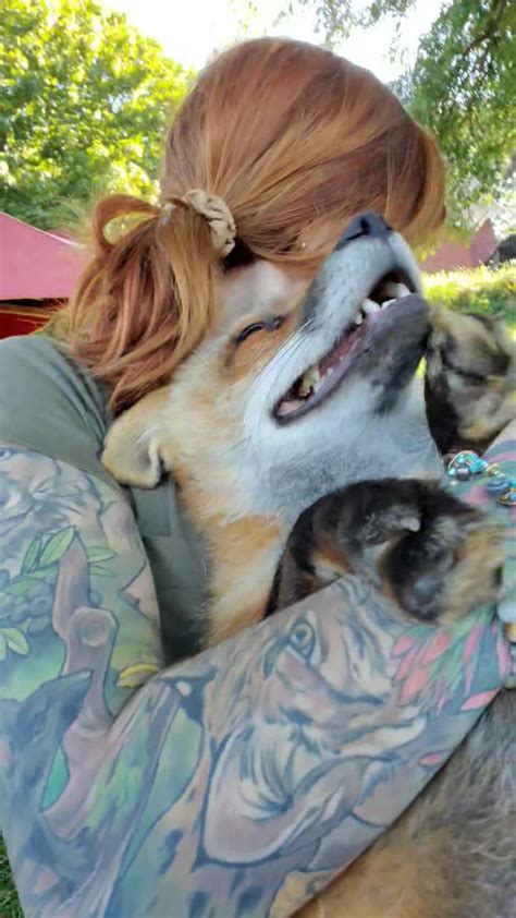 Happy Almost Finnegan Fox Friday 🦊 By Saveafox Corporation