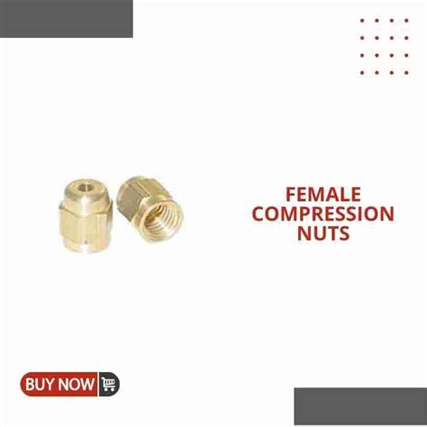 Female Compression Nuts Durable Brass Fittings