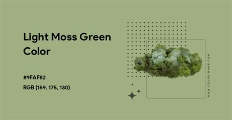 Light Moss Green Color Hex Code Is 9faf82