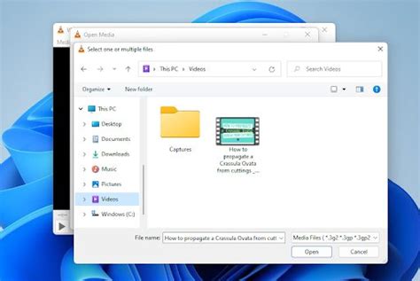 vlc media player converter to mp4 mp3 and other formats softonic