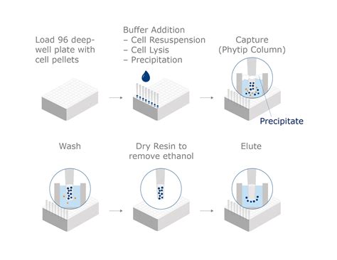 Miniprep Phytip® Columns