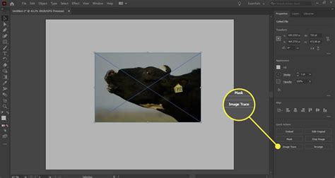 How To Use Image Trace In Adobe Illustrator CC
