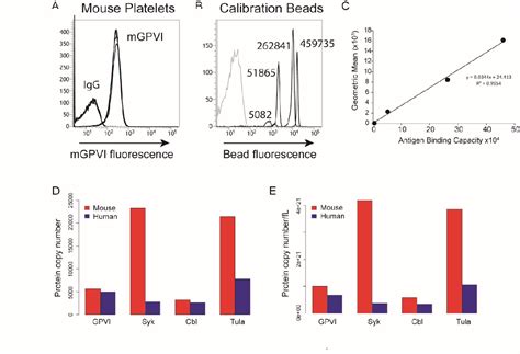 Figure 1 From Interspecies Differences In Protein Expression Do Not