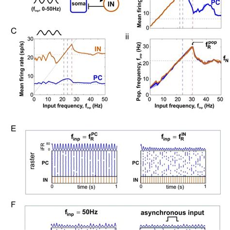 Input Frequency Dependent Output Response Profiles A Diagram Of Pfc Download Scientific