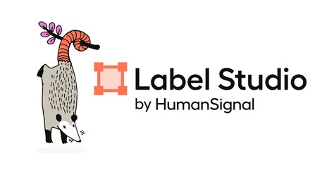 Troubleshooting Image Loading Issue In Label Studio With Local Storage Paths Label Studio