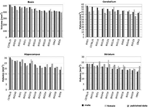 Figure 4 From Genetic Dissection Of The Mouse Brain Using High Field Magnetic Resonance
