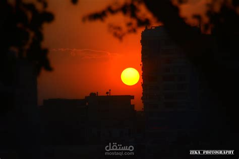 صورة لغلاف كتاب شعر مستقل