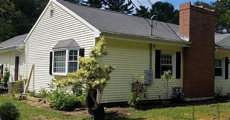 Dragon Eye Pine Album On Imgur