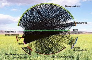 Ecological Networks Clive Emary
