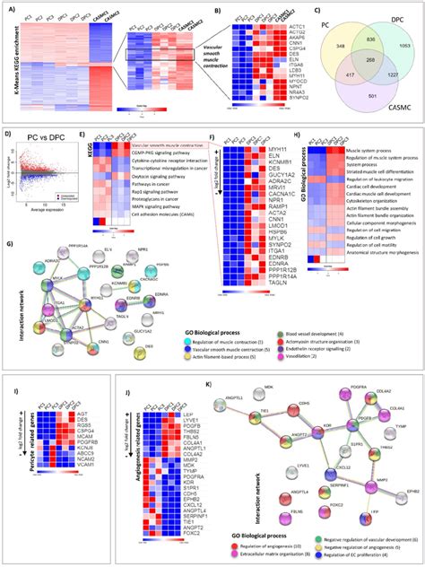 Next Generation Rna Sequencing Analysis Of Naïve And Differentiated Download Scientific Diagram
