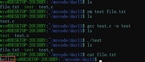 Linux操作文件的系统调用 极客之音
