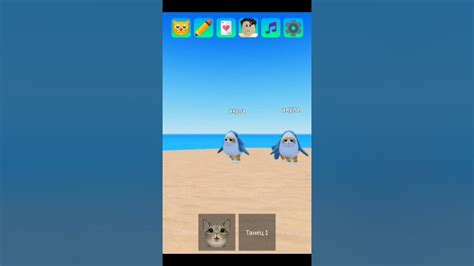 Коти акули Youtube