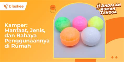 Kamper Manfaat Jenis And Bahaya Penggunaannya Di Rumah Btaskee