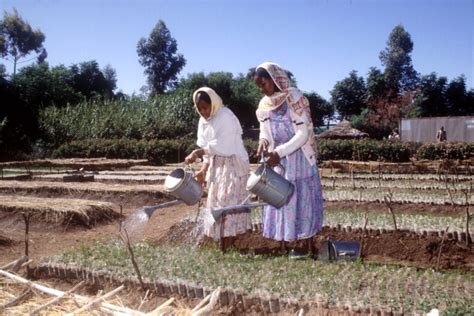 Striding For A Sustainable Change In The Lives Of Vulnerable Communities In Eritrea