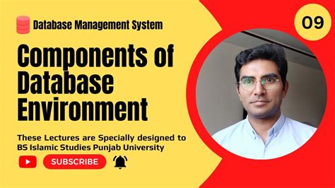 09 Components Of Database Environment Youtube