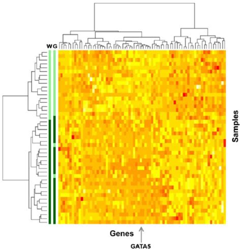 Unsupervised Cluster Analysis Of Dna Methylation Markers And Download Scientific Diagram