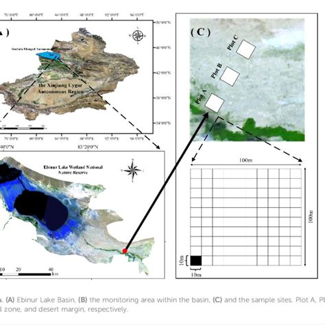 Spatial Distribution Characteristics Of The Carbon Cycle Ok Ordinary Download Scientific