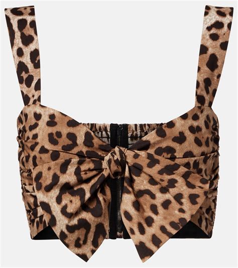 Leopard Print Cotton Crop Top In Brown Dolce Gabbana Mytheresa