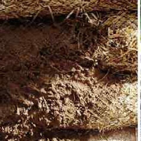 Straw Log Construction Left Wattle Mesh Center Stuffing Straw In