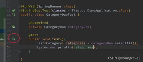 Springboot中单元测试junit的使用springboot Junityoungcave2的博客 Csdn博客
