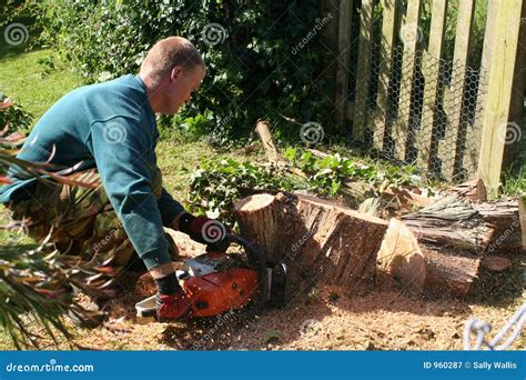Logging Stock Image Image Of Grip Implement Hedge Ivey 960287