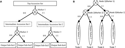 frontiers distinguishing hapmap accessions through recursive set