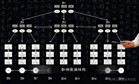 B树和B 树的区别什么今天我给大家介绍一种面试中经常被问到数据结构树大家可能也经常会听到二叉树二叉查找树AVL 掘金