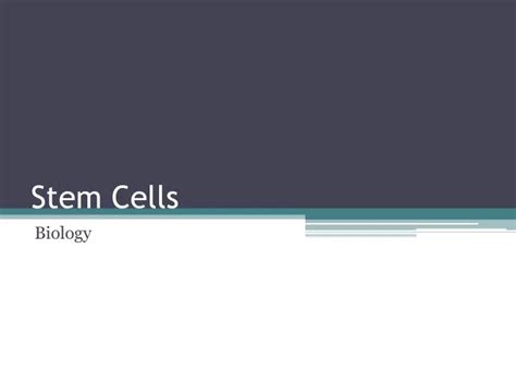 PPT Stem Cells PowerPoint Presentation Free Download ID
