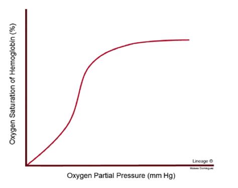 Solved Hbs O2 Binding Curve Is Shown Below Shifting This