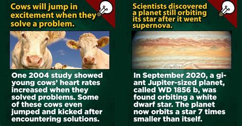 29 Bits Of Stem Trivia That Mad Scientists Have Forcibly Extracted From