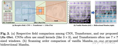 LMa UNet 探索大kernel Mamba在医学图像分割上的潜力 知乎