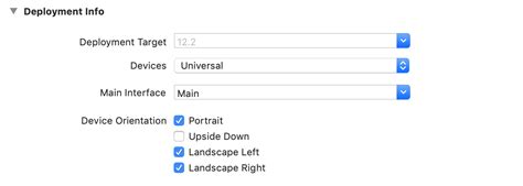 Ios Universal App Launchscreen Not Respecting Interface Builder