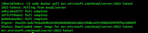 How To Install Sql Server On Fedora 39 Using Docker Gis Tutorial