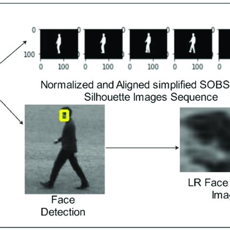 Example Of Gait Energy Image And Low Resolution Face Image Extraction Download Scientific Diagram