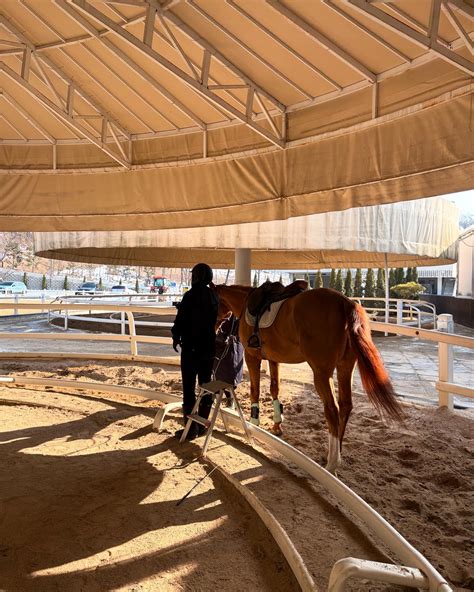 하라 Lets Go Instagram